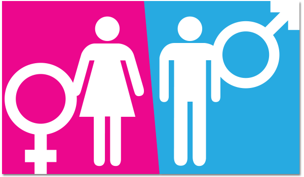 Name Verification & Gender Determination