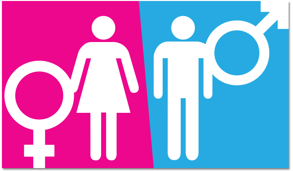 Name Verification & Gender Determination