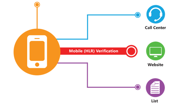 Phone Verification - Contact Data Service